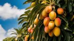 15 Wild Facts About Mangoes That Will Blow Your Mind