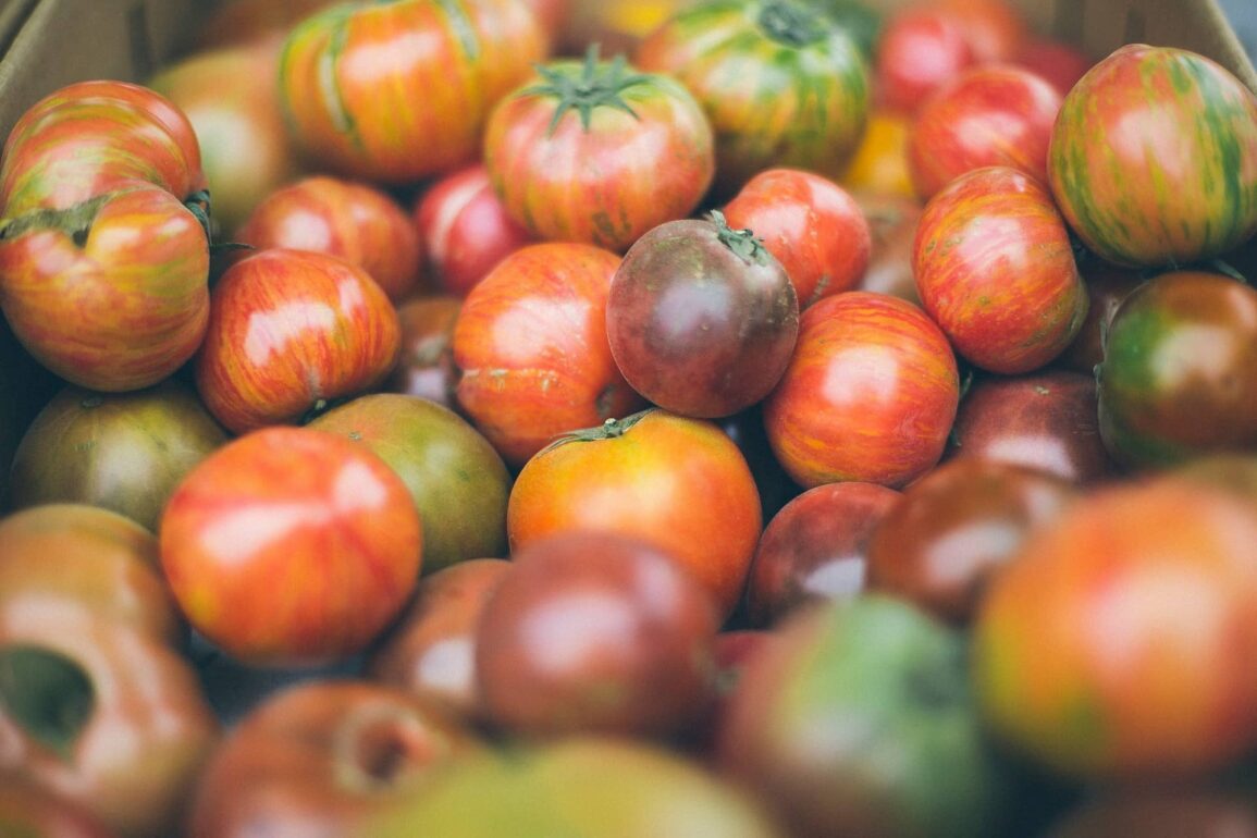 15 Tomato Facts That You Should Know About