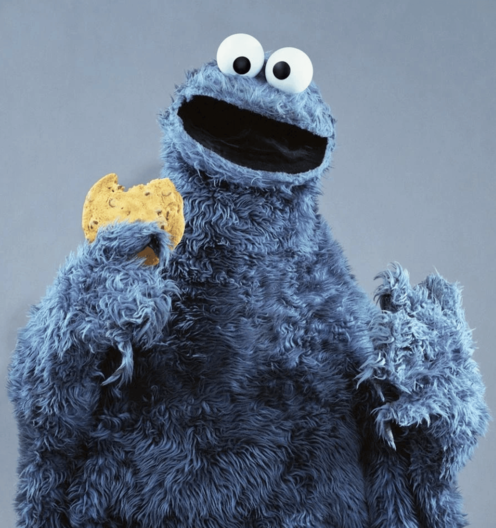 15 Wild Cookie Facts You Won’t Believe—Sweet Surprises in Every Bite!