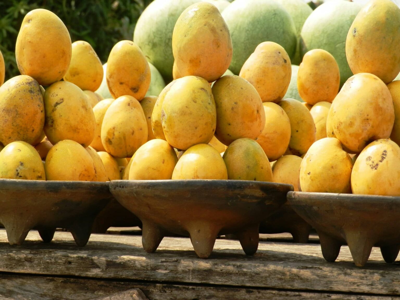 15 Wild Facts About Mangoes That Will Blow Your Mind