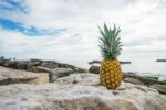 15 Weird Pineapple Facts So Juicy They’ll Make You Pine for More