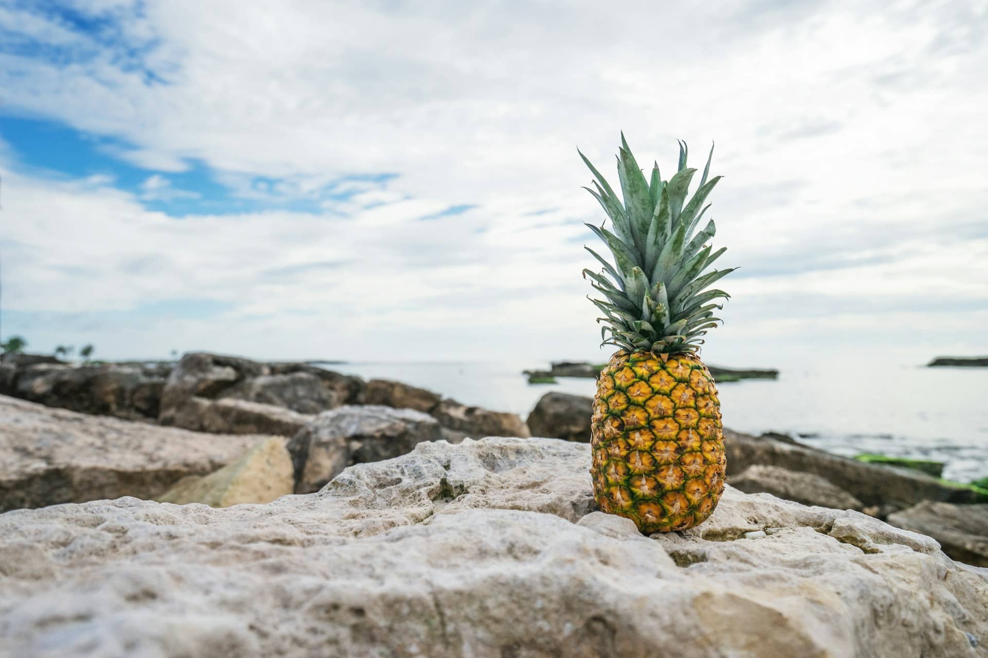 15 Weird Pineapple Facts So Juicy They’ll Make You Pine for More