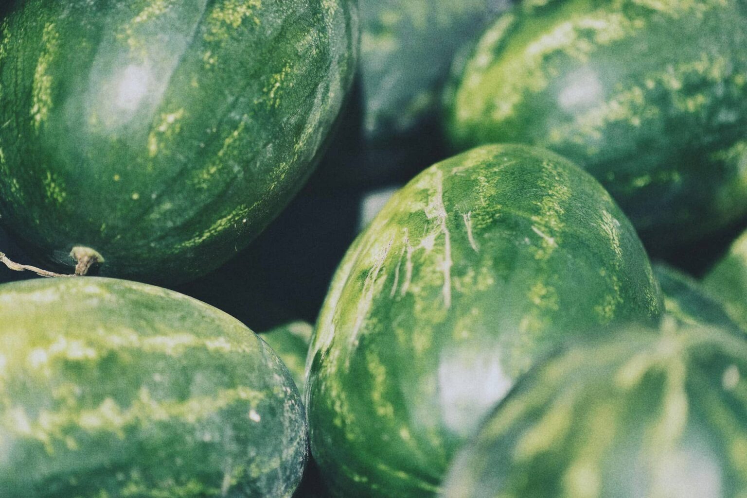 15 Strange Watermelon Facts That Will Blow Your Mind