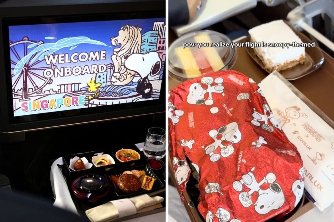 'POV: you realize your flight is snoopy-themed': People go wild after ...