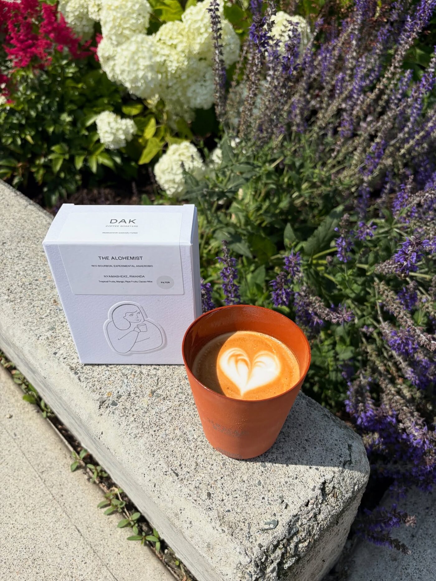 Popular North Vancouver Zero-Waste Cafe Expands to the Upcoming ...