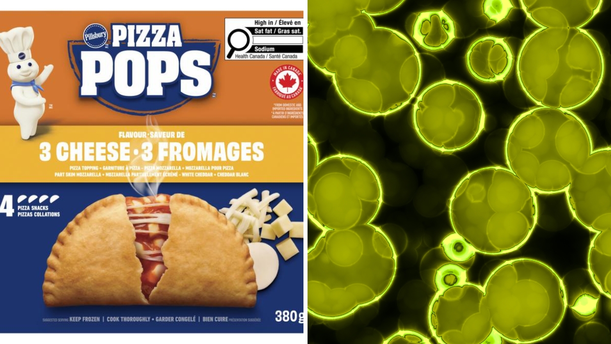 National Recall Alert: Do Not Eat These Pizza Pops Due to Possible E ...